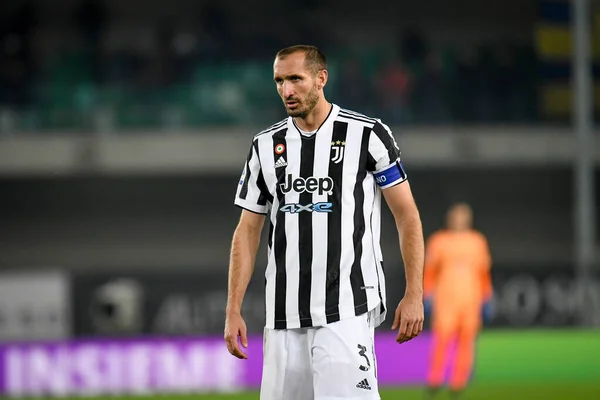 Chiellini Images Libres De Droit Photos De Chiellini Depositphotos