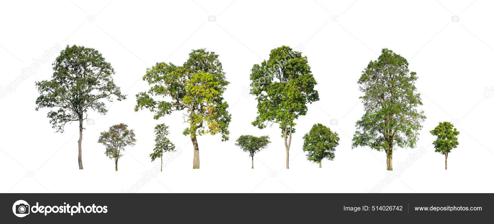 Collection Trees Set Isolated Trees White Background Stock Photo by ...