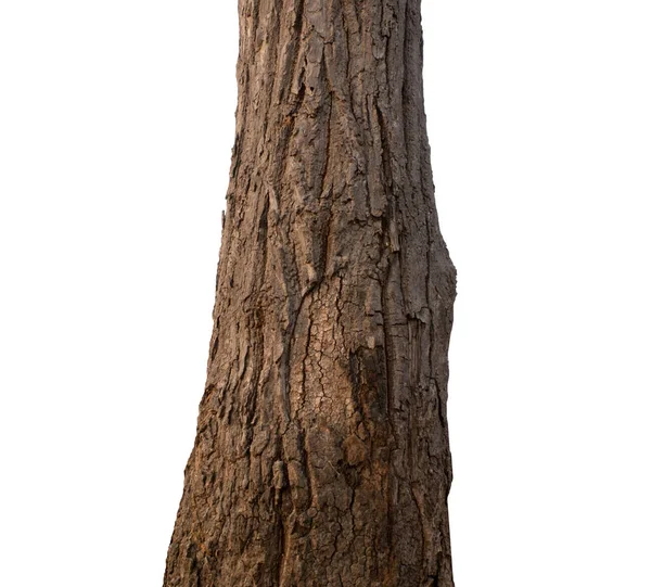 Tronco curto fotos de stock, imágenes de Tronco curto sin royalties ...