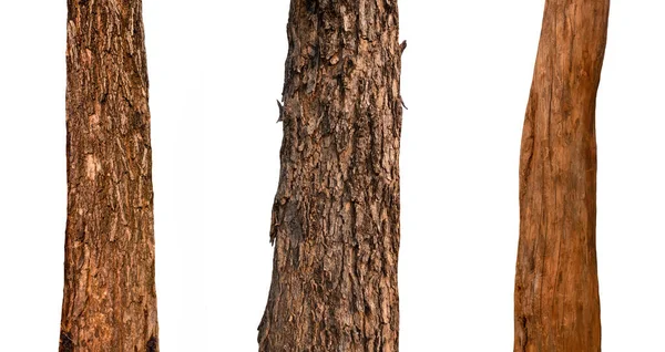 Structure de bâton Stock Photos, Royalty Free Structure de bâton Images ...