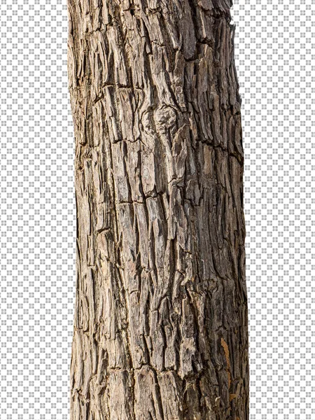 Tree Trunk Png