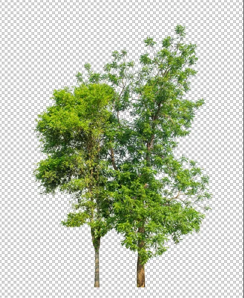 Overleaf fotos de stock, imágenes de Overleaf sin royalties | Depositphotos