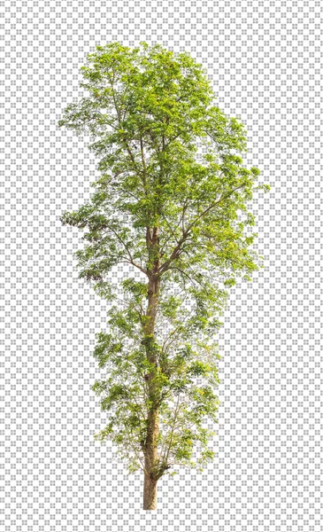 Fallen tree png fotos de stock, imágenes de Fallen tree png sin ...