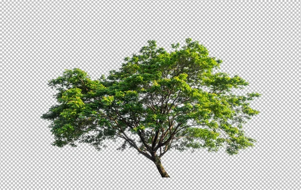 Tree transparent background Stock Photos, Royalty Free Tree transparent ...
