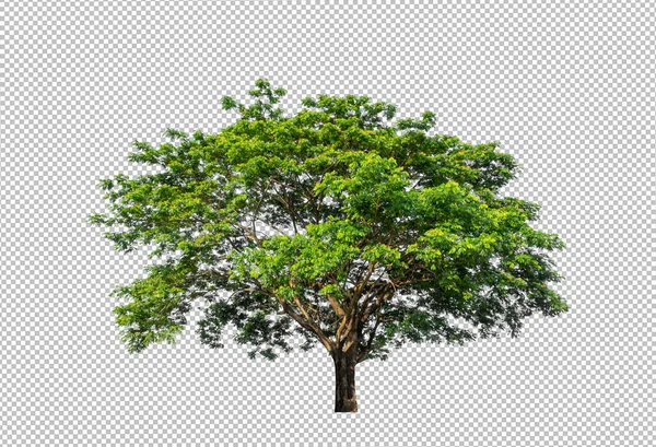 Tree transparent background Stock Photos, Royalty Free Tree transparent ...