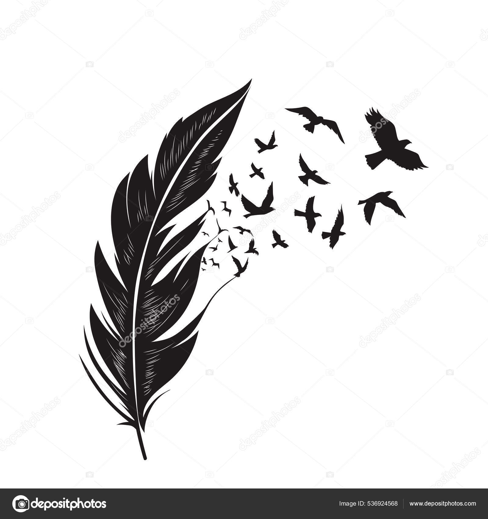 Feathers Free Flying Birds Vector Illustration Freedom Bird Flying ...