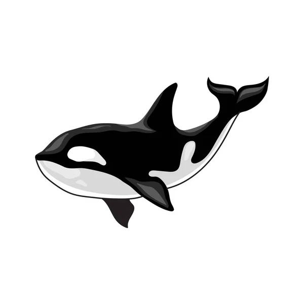 Orca Whale Clip Art