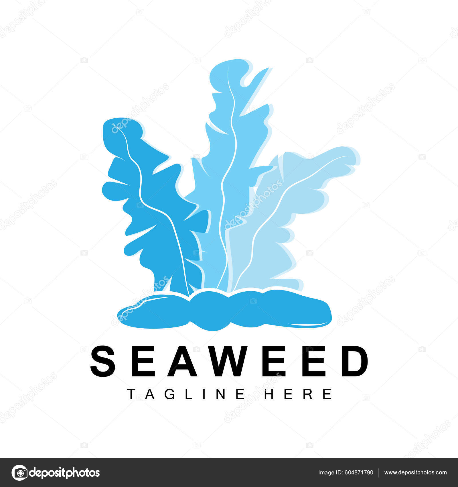 Seaweed Food Vector