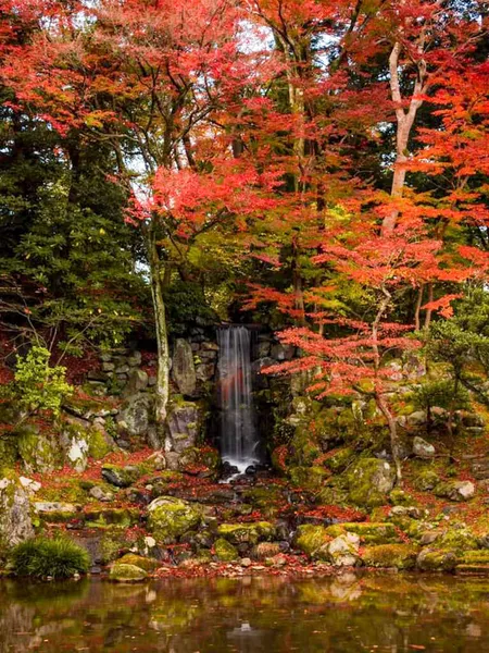 Japanese maple with waterfall Stock Photos, Royalty Free Japanese maple ...