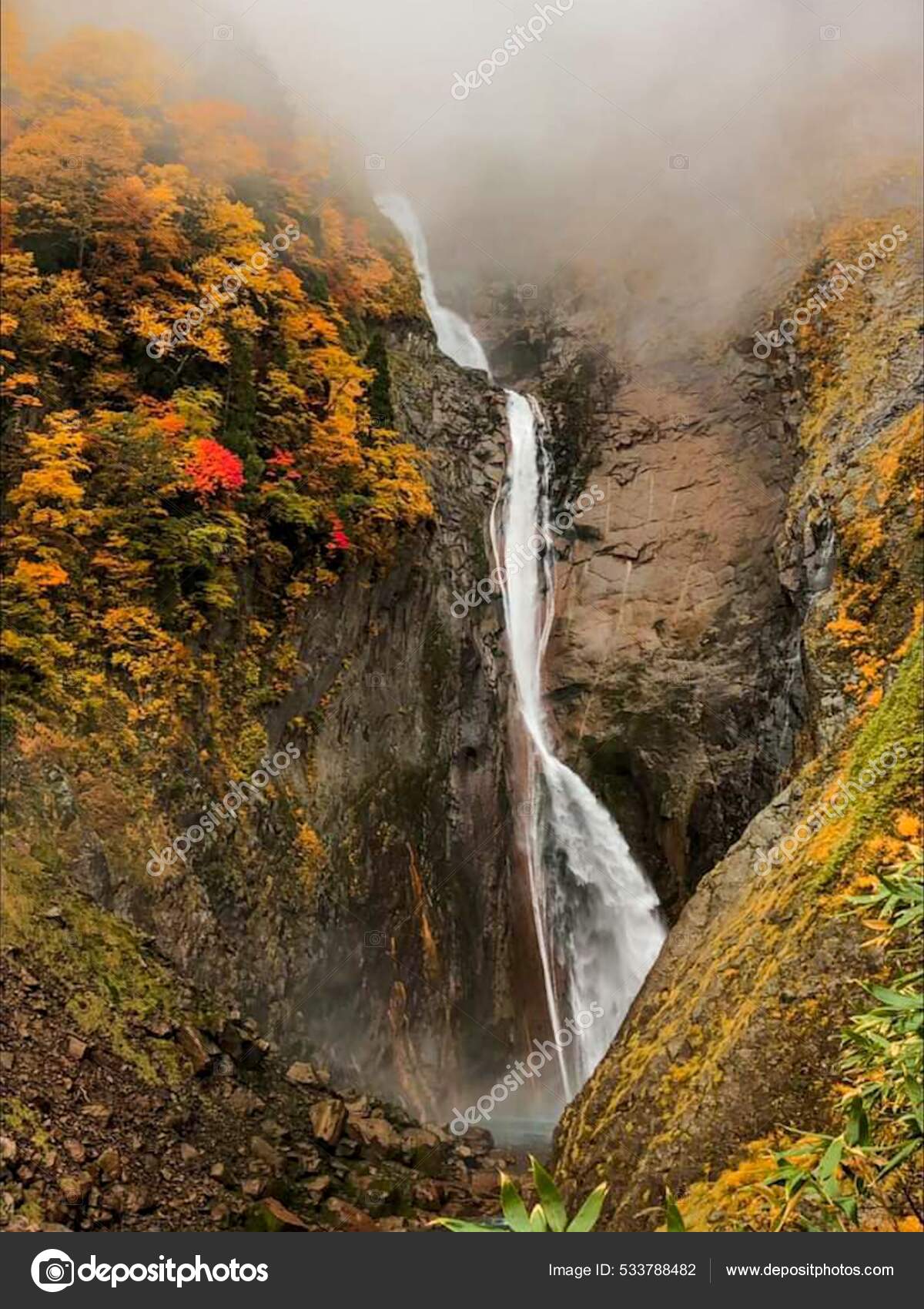 Tree View Shomyo Tateyama Waterfall Japan — Stock Photo © Dudinsaehudin ...