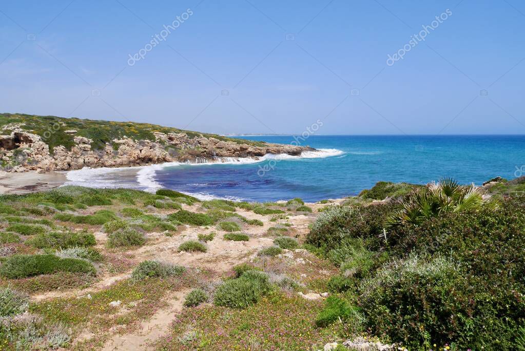 Vista de la playa de Calamosche con arena blanca y agua clara turquesa ...