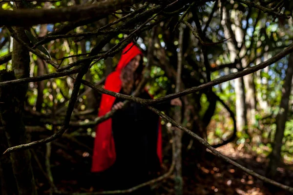 Woman cape forest Stock Photos, Royalty Free Woman cape forest Images ...