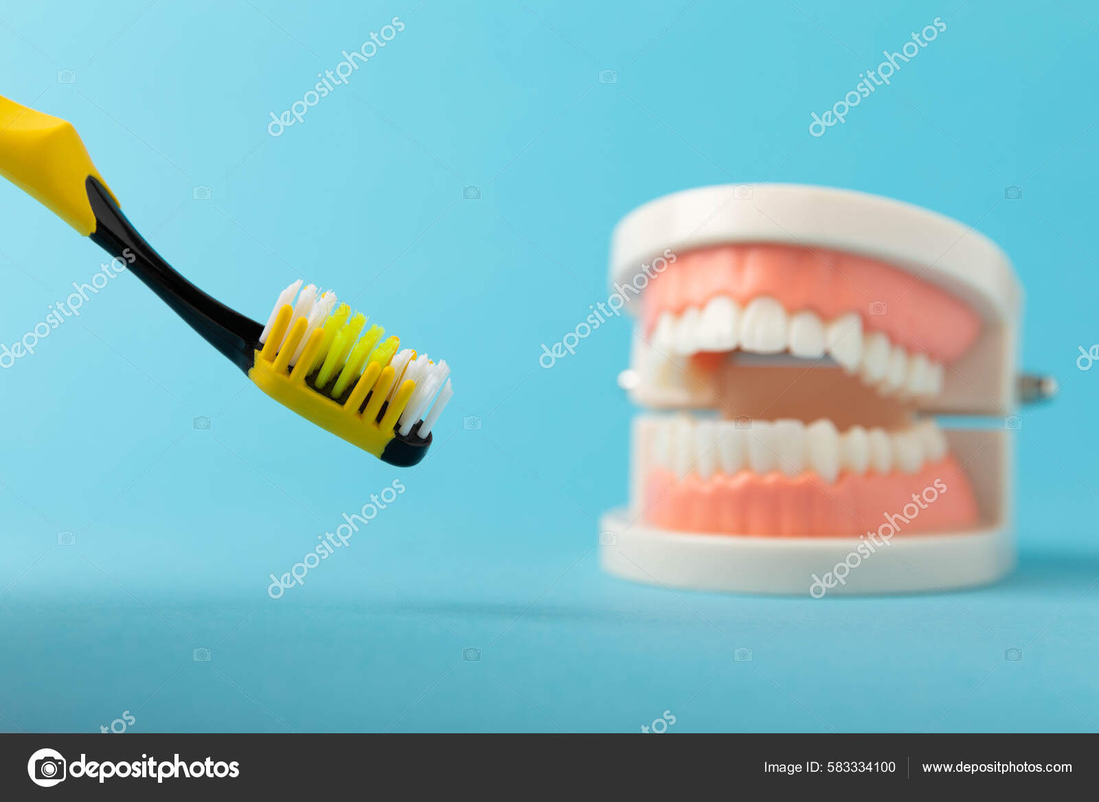 Dentures Toothbrush Blue Background Upper Lower Jaws False Teeth ...