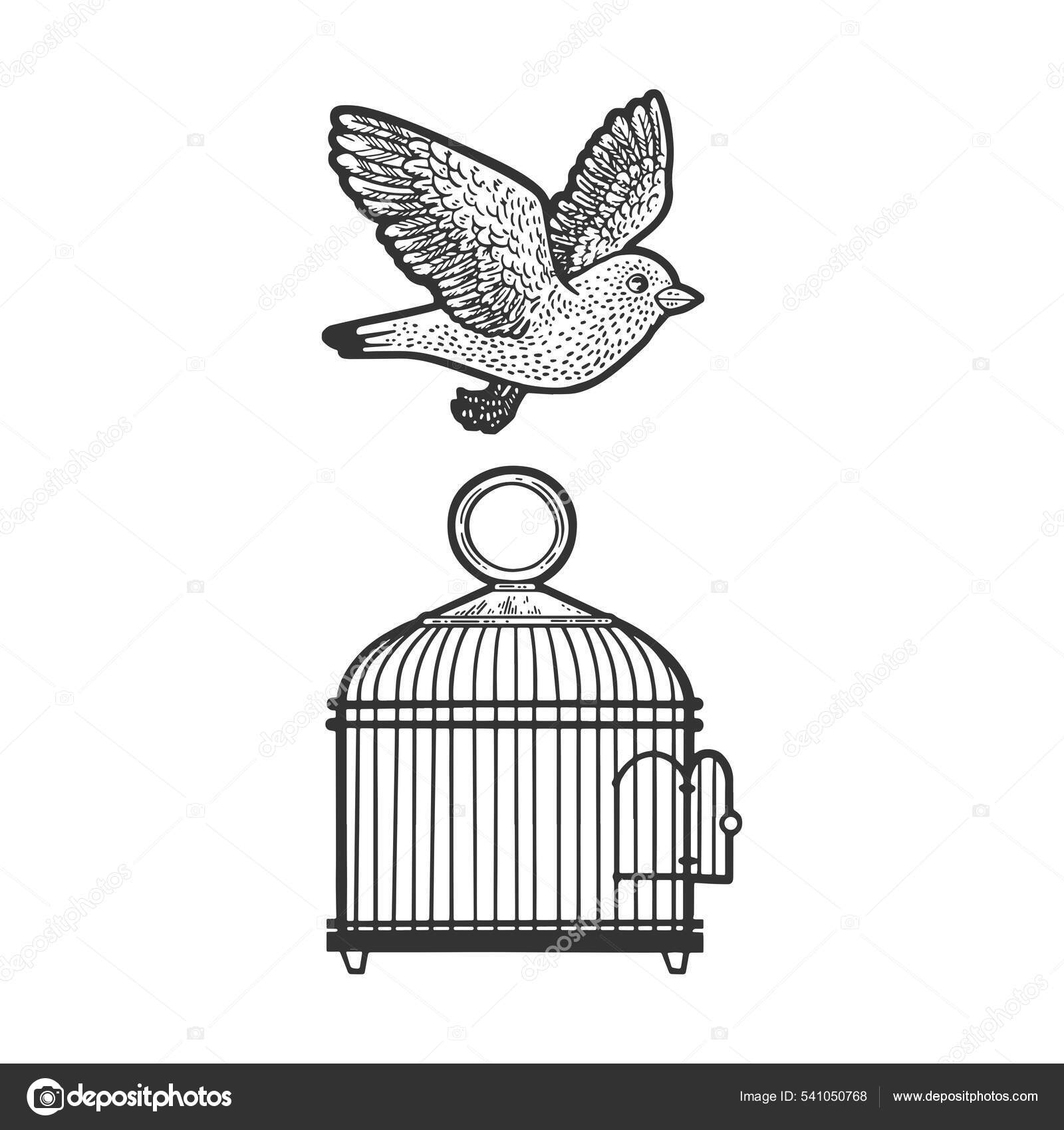 Open Birdcage Tattoo Sketch