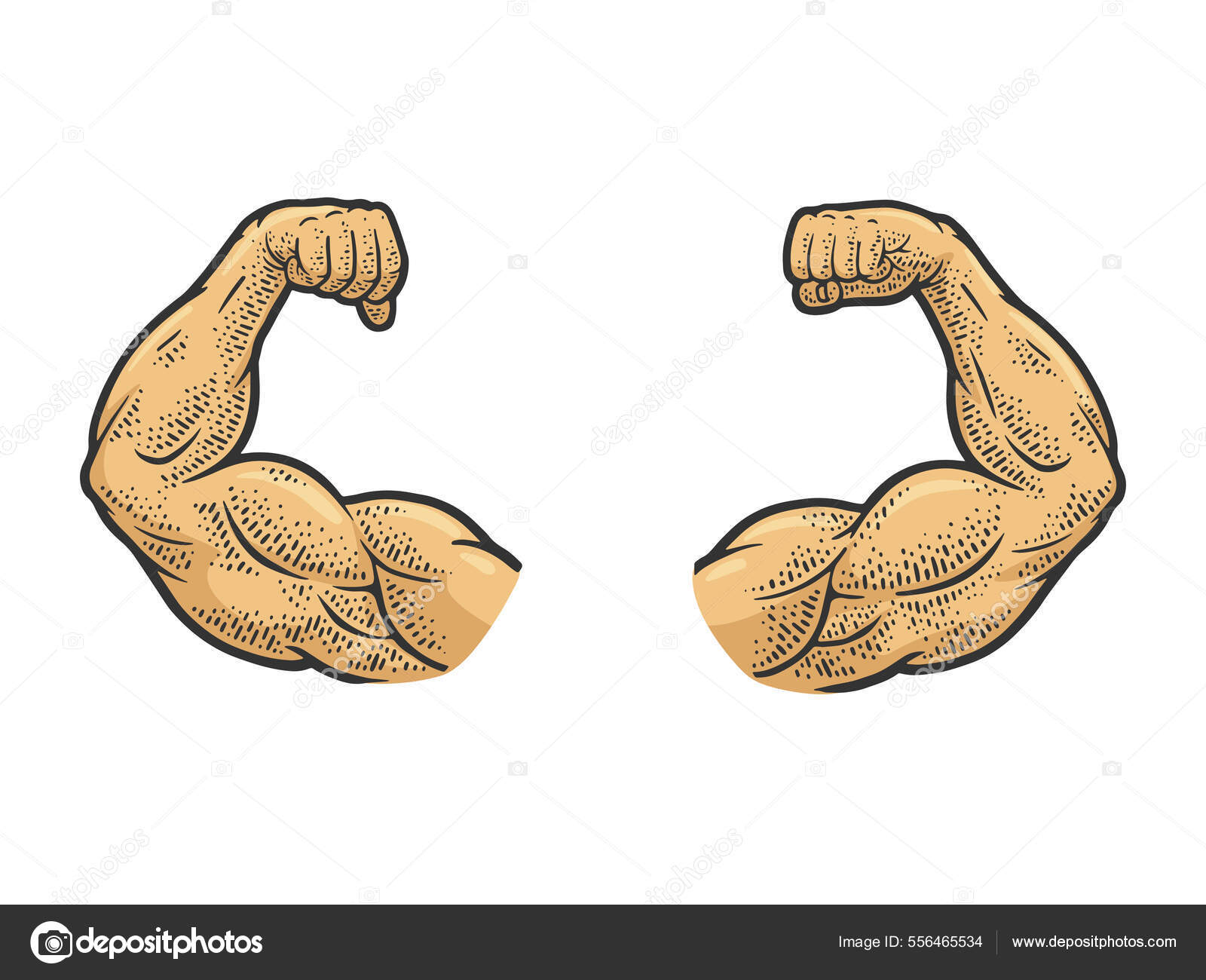 Tangan berotot dari pria kuat warna sketsa vektor Vektor Stok oleh ...