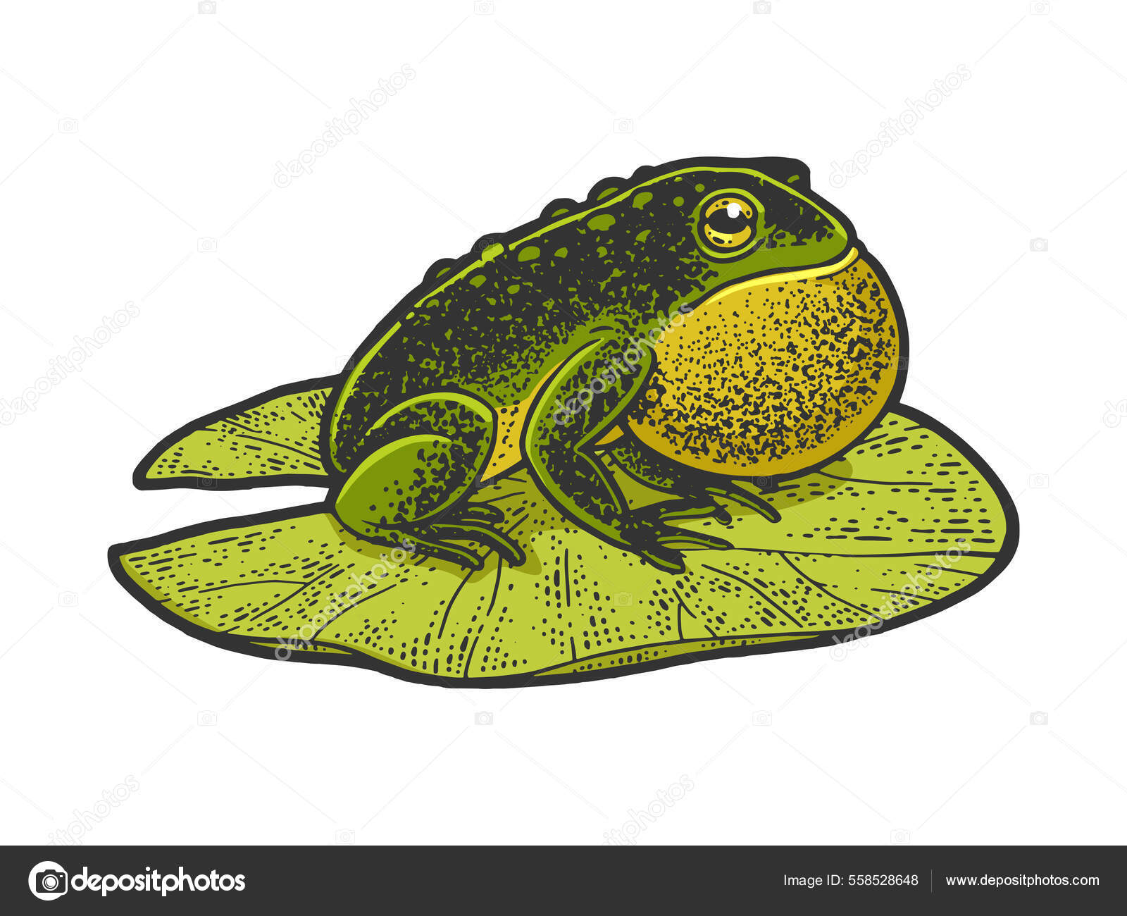 Puffy toad color sketch raster illustration Stock Illustration by ...