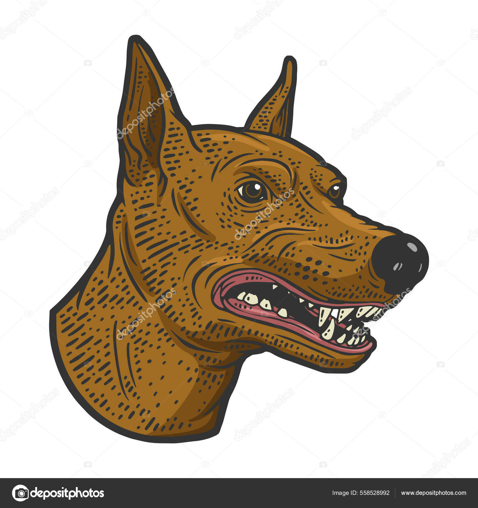 Doberman Growling