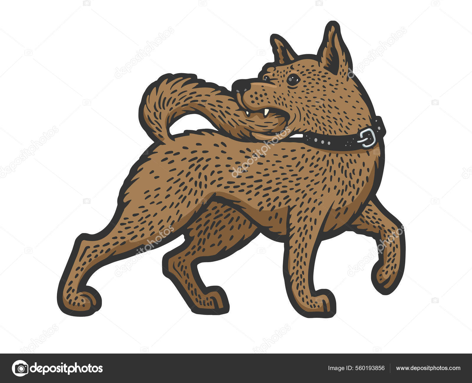 How Do You Stop A Dog From Chasing Its Tail