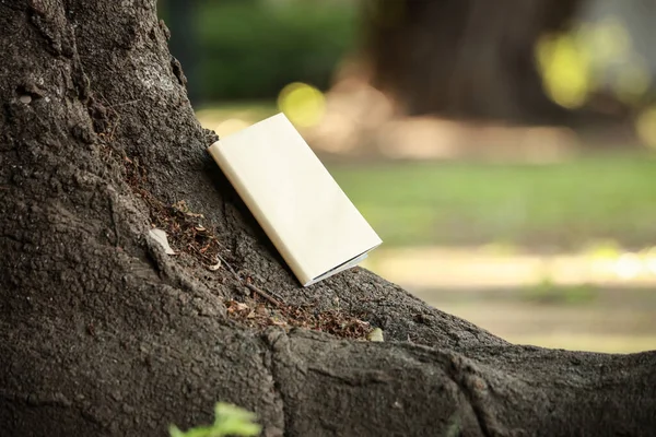 Book in tree Stock Photos, Royalty Free Book in tree Images | Depositphotos