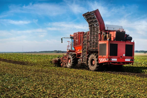 Sugar beet harvester Stock Photos, Royalty Free Sugar beet harvester ...