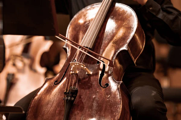 Cello Stage Philharmonic Concert — Stock Photo © edmond77 #587733624