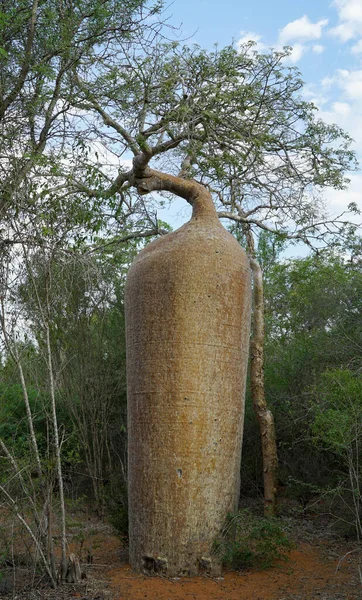 Africa silo Stock Photos, Royalty Free Africa silo Images | Depositphotos
