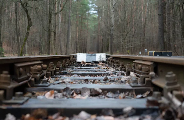 Logging rail Stock Photos, Royalty Free Logging rail Images | Depositphotos