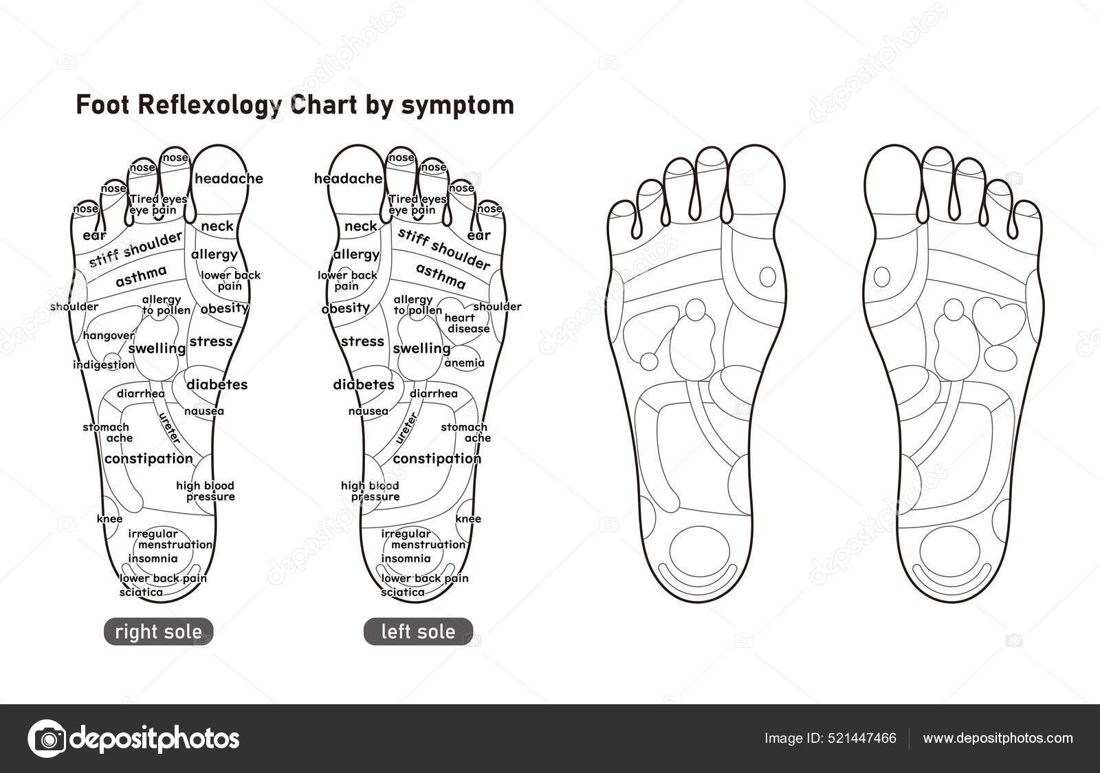 Acupuncture Points Bottom Of Feet at Elijah Madirazza blog