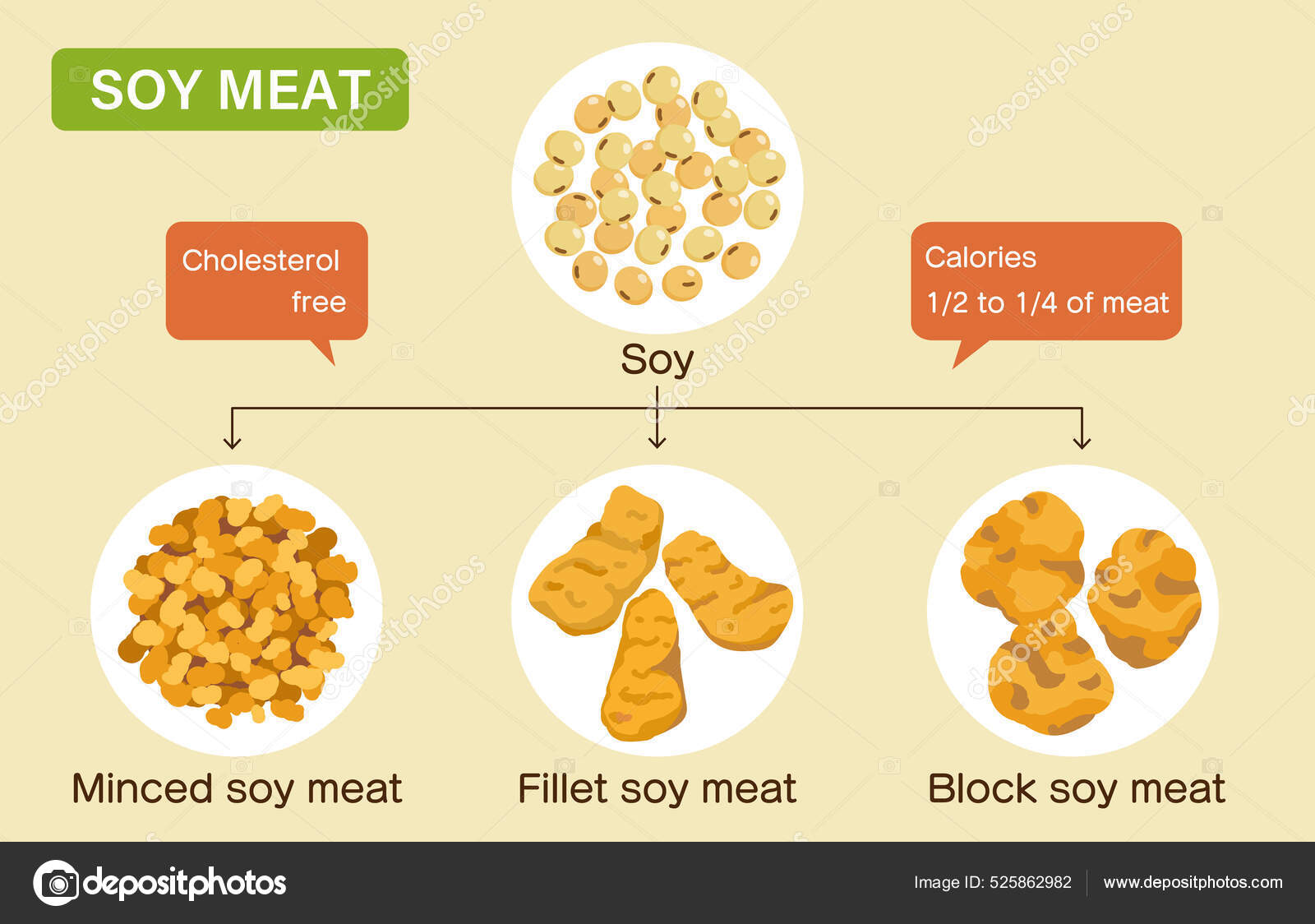 Illustrations Soy Meat Various Shapes Soy Minced Fillet Block Stock ...