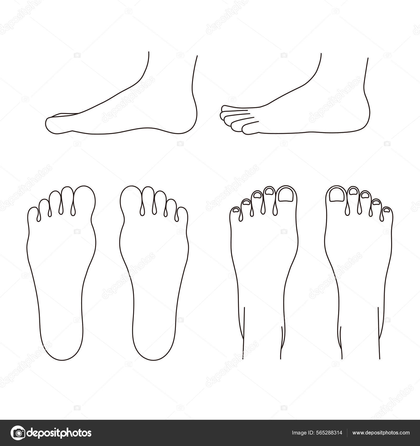 Illustration de Simple Monochrome Illustration Sole Instep Side Foot ...