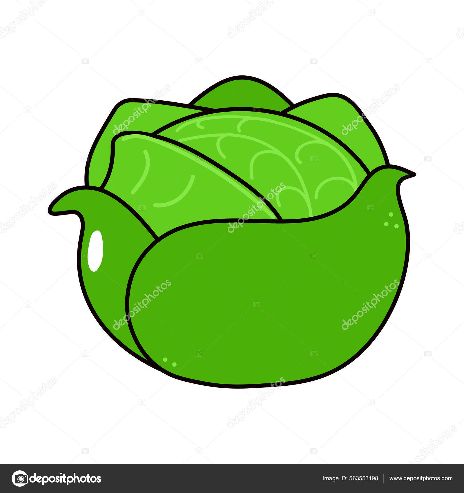 Lindo Repollo Divertido Agitando Carácter Mano Vector Dibujado Mano ...