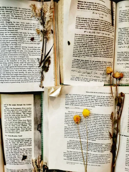 Bible white background Images - Search Images on Everypixel