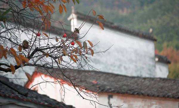 beautiful red leaves on the roof of the house - Stock Image - Everypixel
