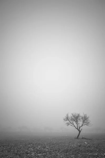 The isolation natural Stock Photos, Royalty Free The isolation natural ...