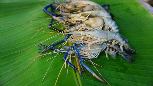 Prawn pond Stock Photos, Royalty Free Prawn pond Images | Depositphotos