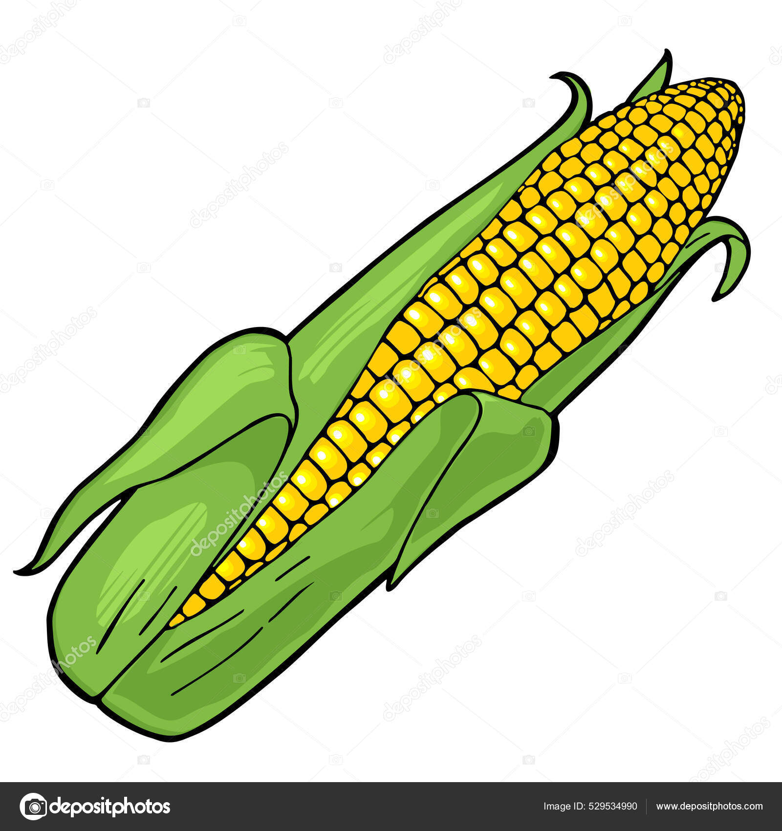 Mazorca Maíz Maduro Con Hojas Ilustración Vectorial Color Vintage ...