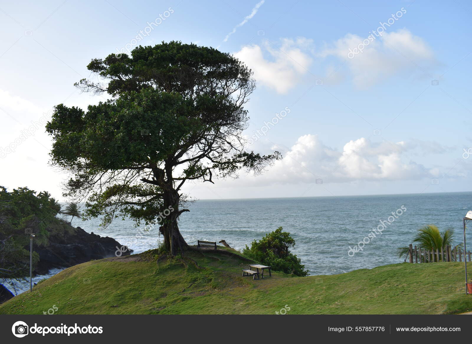 Wooden Bench Overlooking Toco Beach Coastline Toco Trinidad Tobago ...