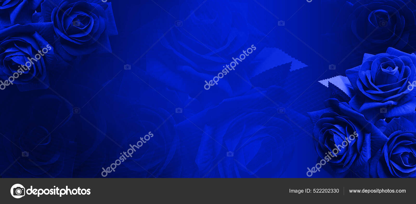 Dark Blue Roses Background