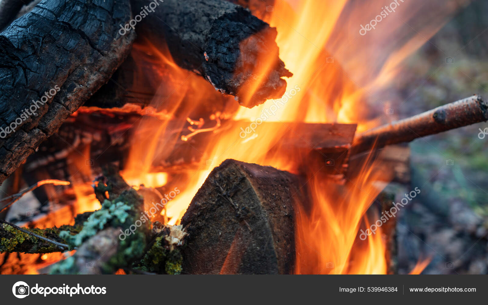 Bonfire Orange Flame Fire Burning Birch Tree Fireplace Flame Background ...