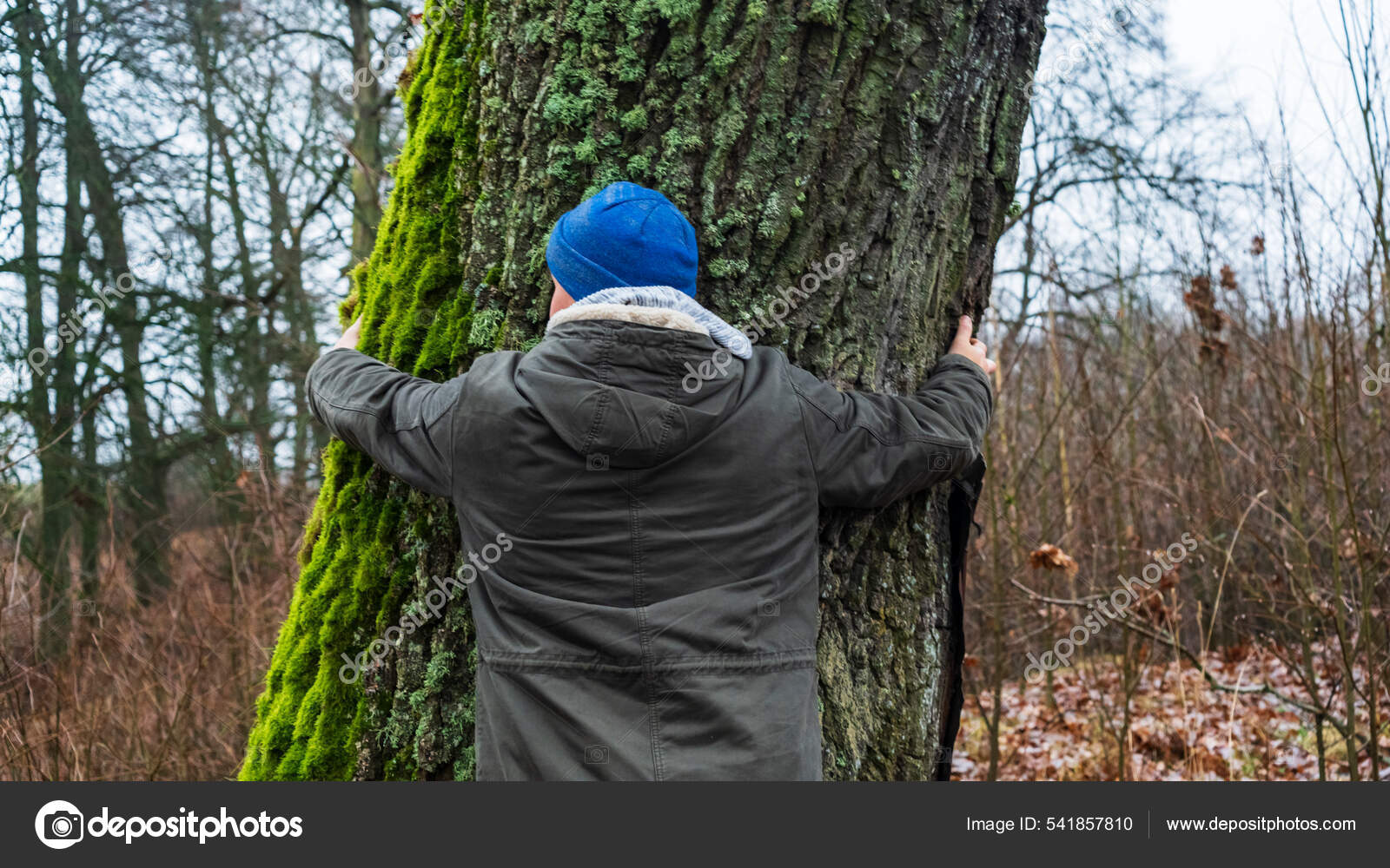 Winter Solstice Worship Pagan Gods Trees Ancient Pagan Temple ...