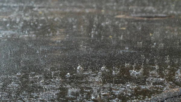 Raindrops Falling On The Ground