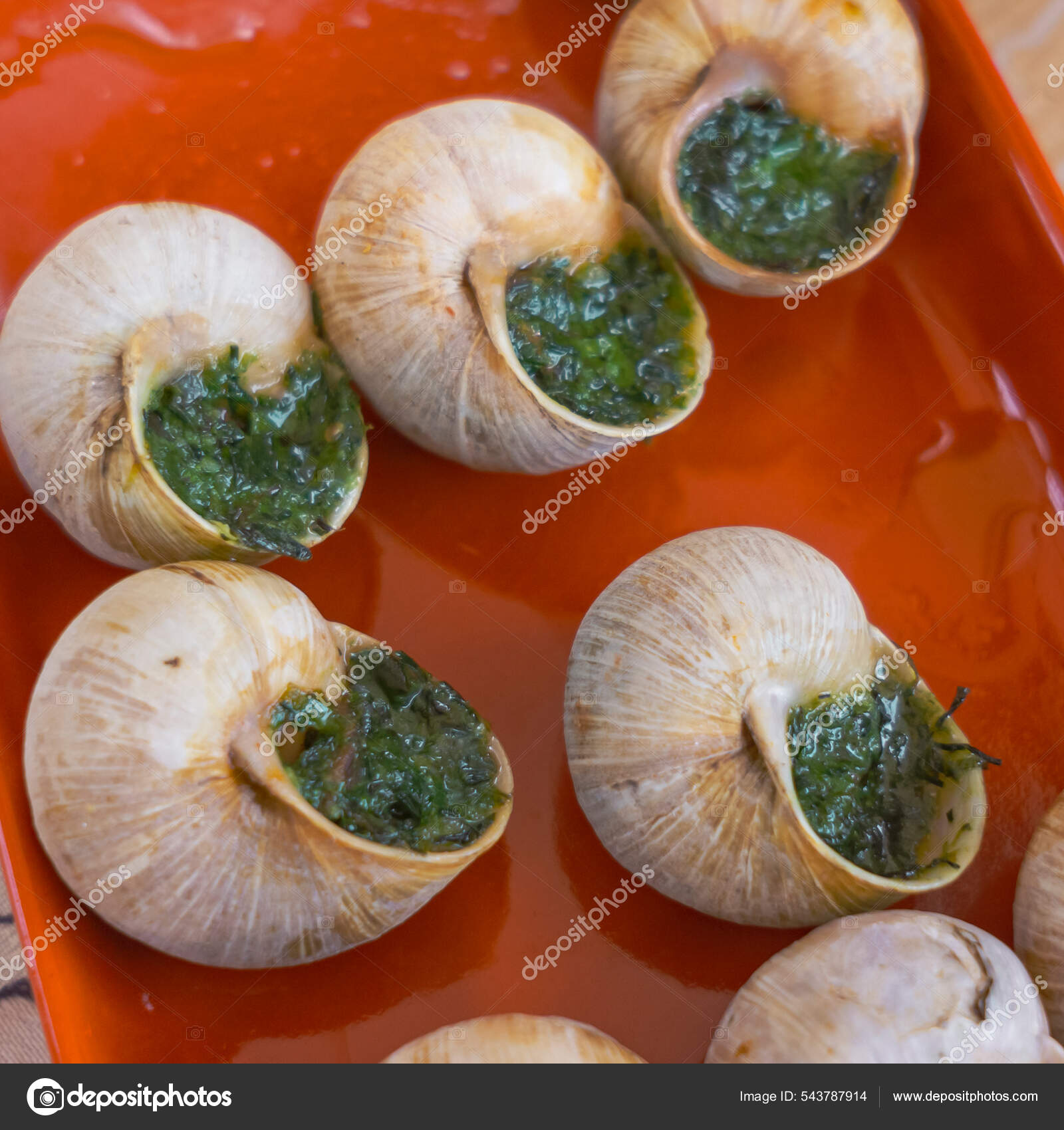 French Cuisine Snails