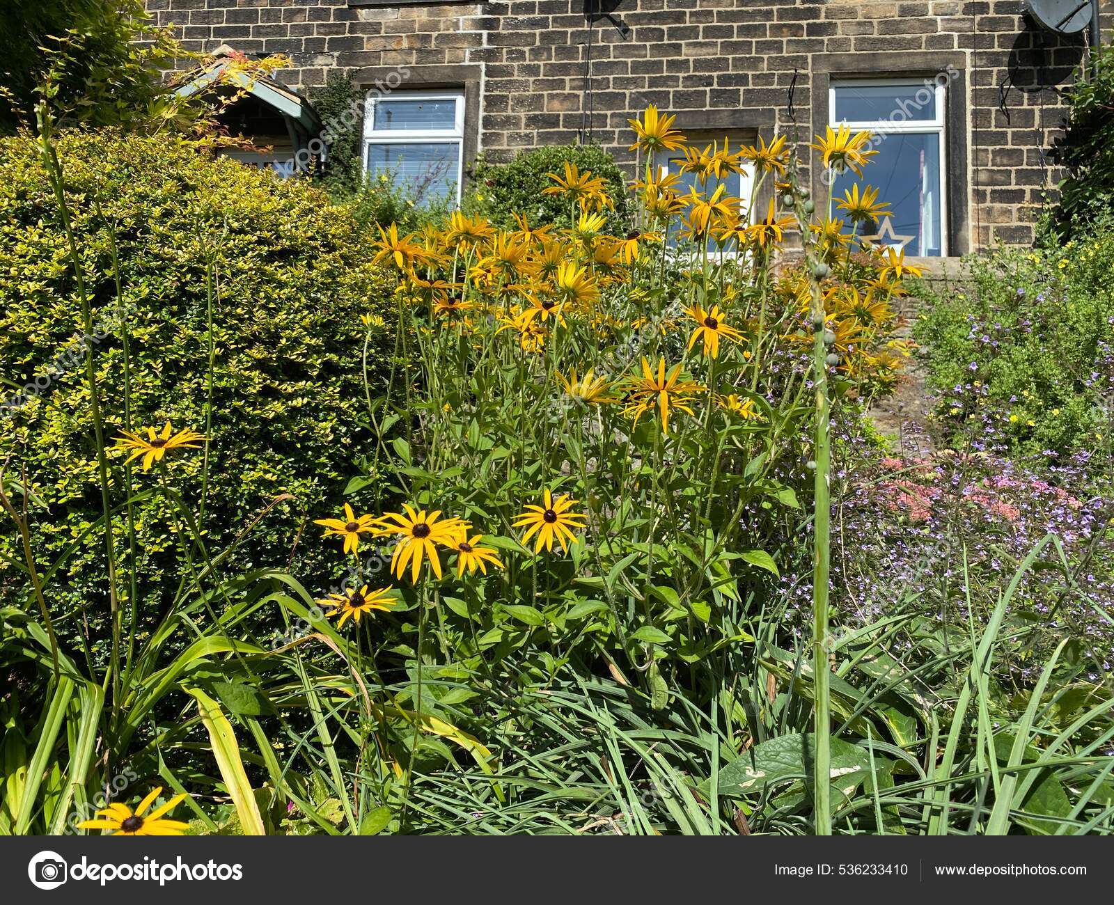 Yellow Pink Flowers Amongst Greenery Stone Cottages Background ...