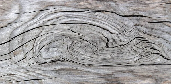 Beautiful Wood Grain Wood Background Wood Grain Pattern Texture ...