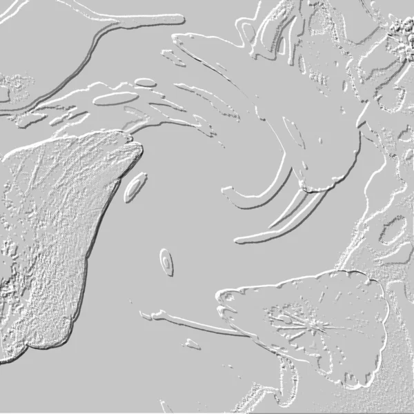 Imágenes de Relief normal map, fotos de Relief normal map sin royalties ...