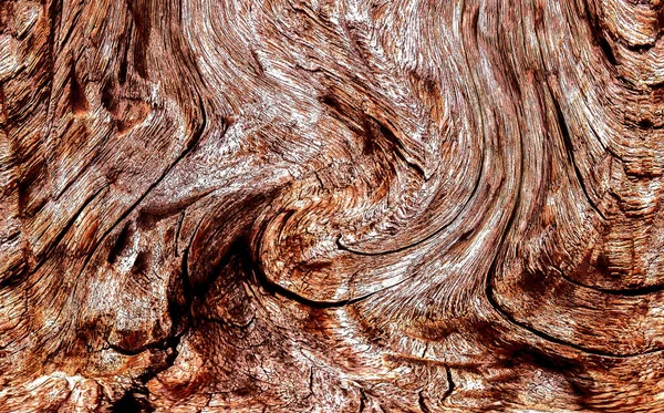 Beautiful wood grain. Wood background. Wood grain pattern texture ...