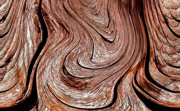 Beautiful wood grain. Wood background. Wood grain pattern texture ...