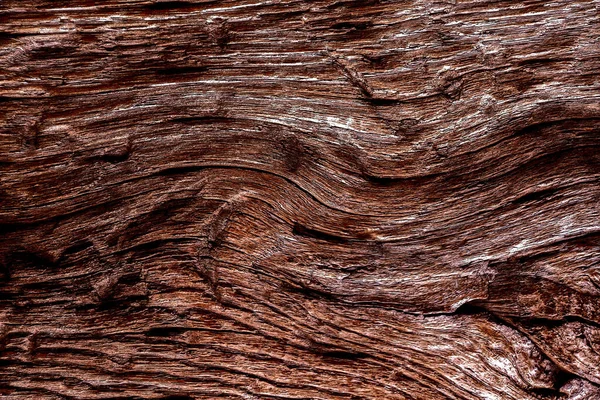 Beautiful wood grain. Wood background. Wood grain pattern texture ...