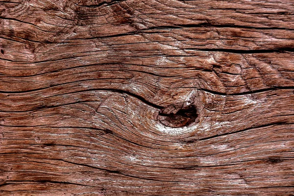 Beautiful wood grain. Wood background. Wood grain pattern texture ...