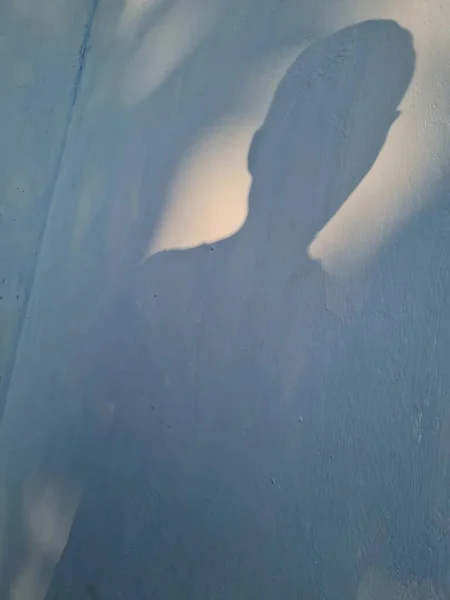 Shadow boy Stock Photos, Royalty Free Shadow boy Images | Depositphotos